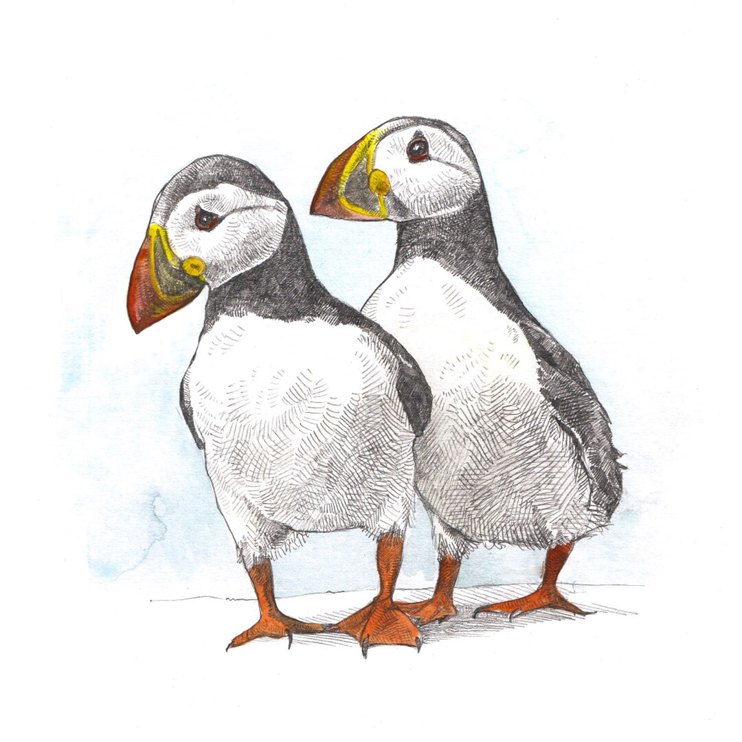 Print - A Perfect Pair - Two Puffins - Etsy