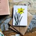 Mini Notelets - Flowers - Pack of 5 Miniature Cards With Envelopes ...