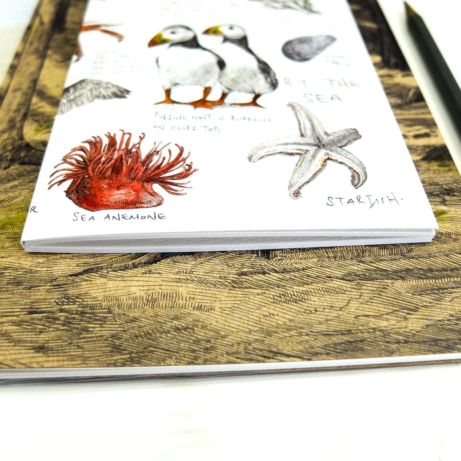 By the Sea Notebook A6 Plain Paper Nature Sketchbook | Etsy