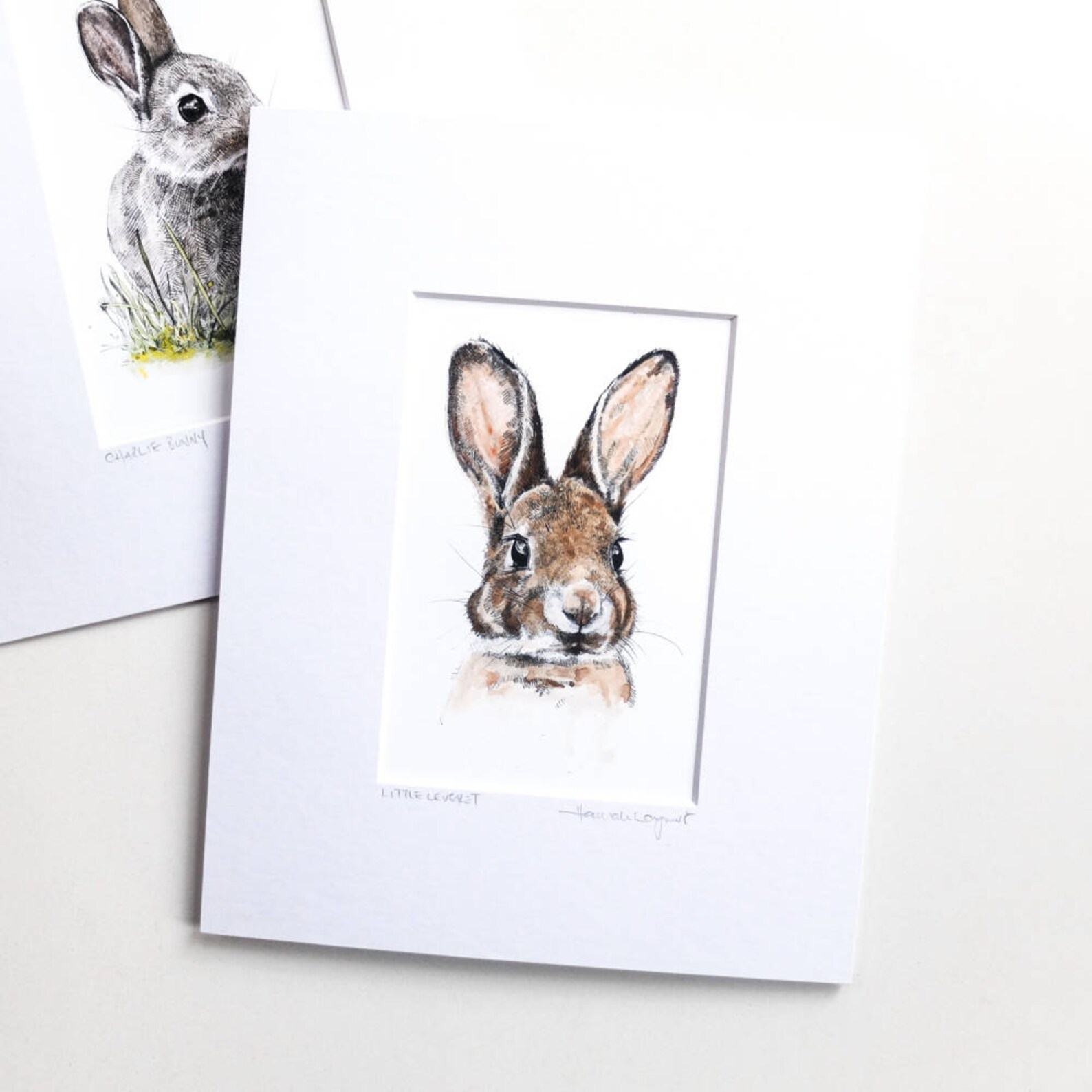 Print Little Leveret Baby Hare Drawing - Etsy