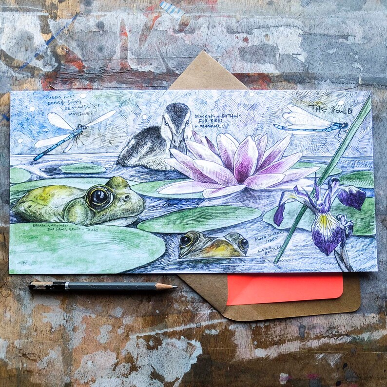 The Pond Card A Garden for Wildlife Wrap-around Card Summer - Etsy