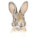 Print Little Leveret Baby Hare Drawing - Etsy