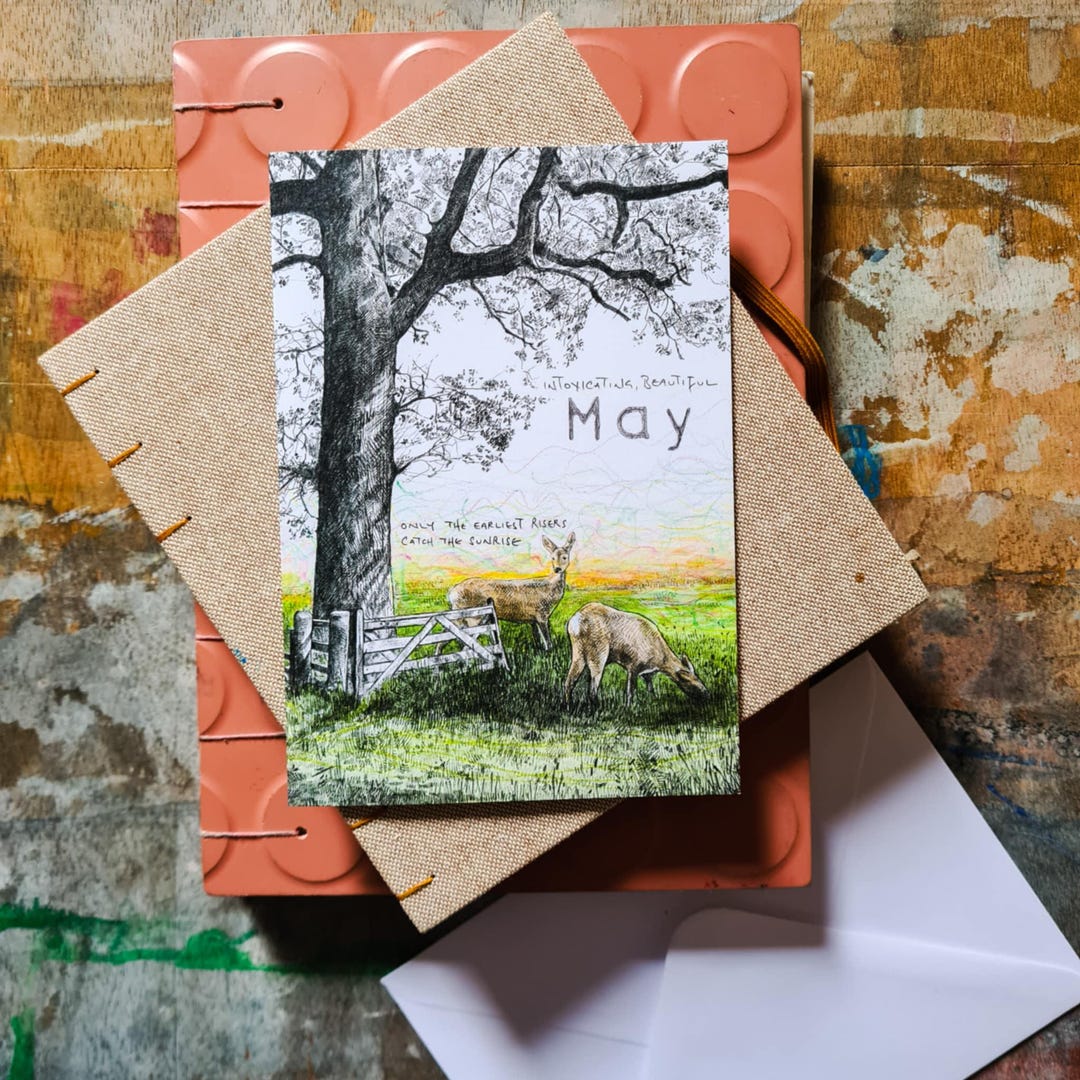 Blank Card - May - Wild Months, Spring Birthday Card - Etsy