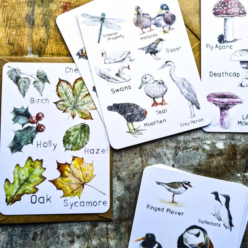 Collections Postcards Set of 9 Nature Postcards Wildlife - Etsy