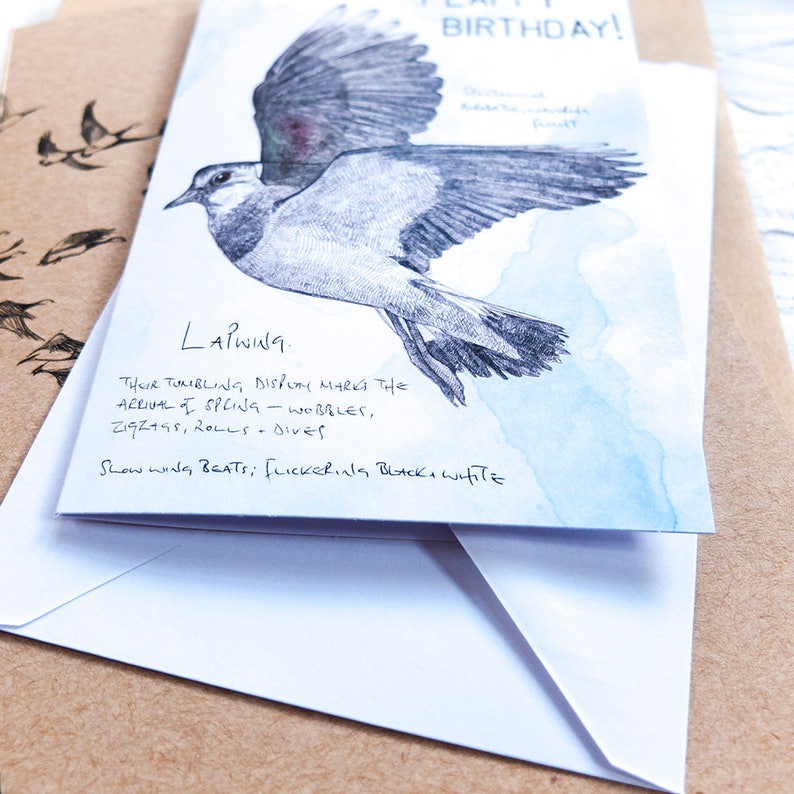 Flappy Birthday! A Lapwing Birthday Card - Etsy