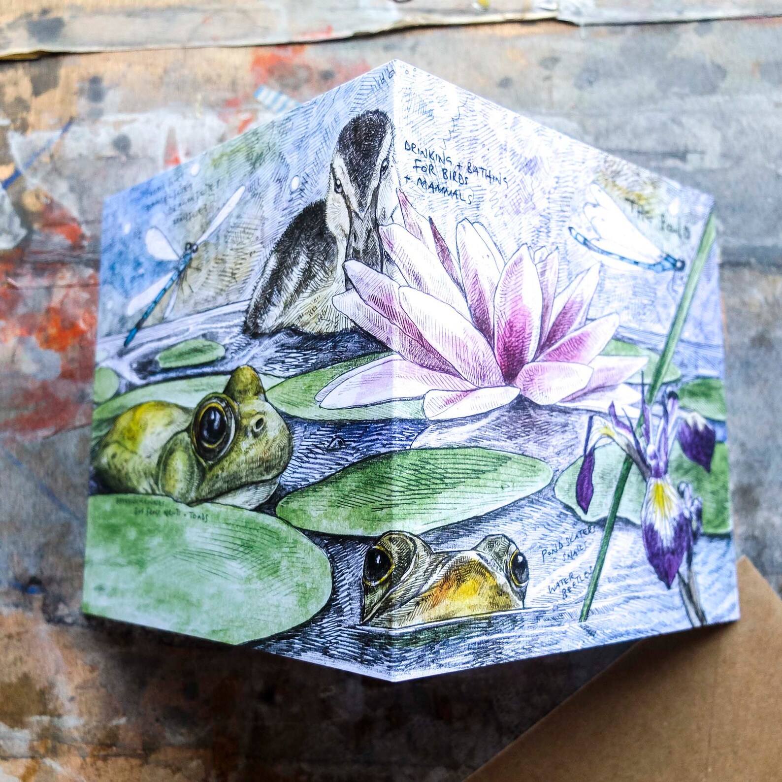 The Pond Card A Garden for Wildlife Wrap-around Card Summer - Etsy