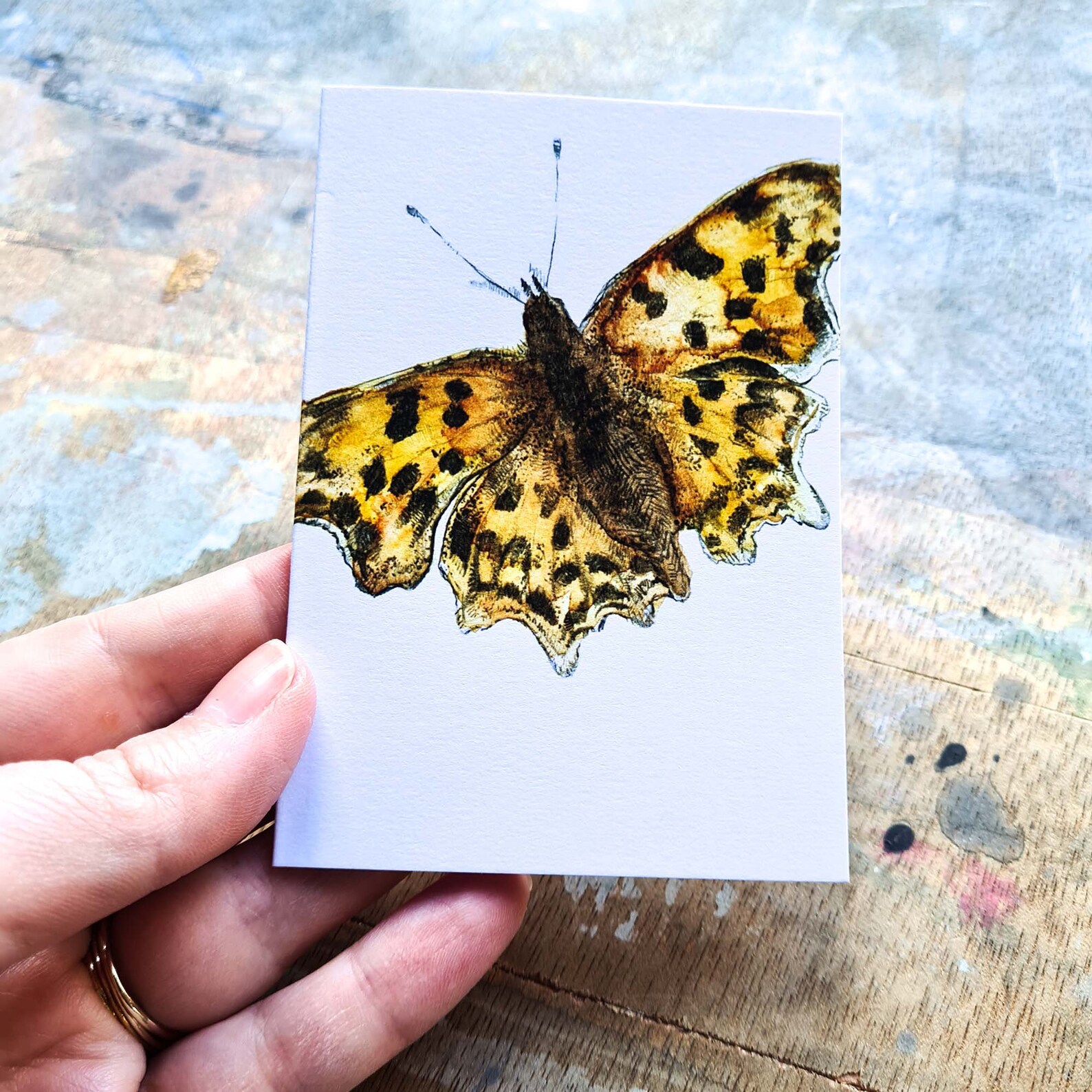 Mini Notecard Set - Butterflies - Pack of 5 Little Cards - Etsy