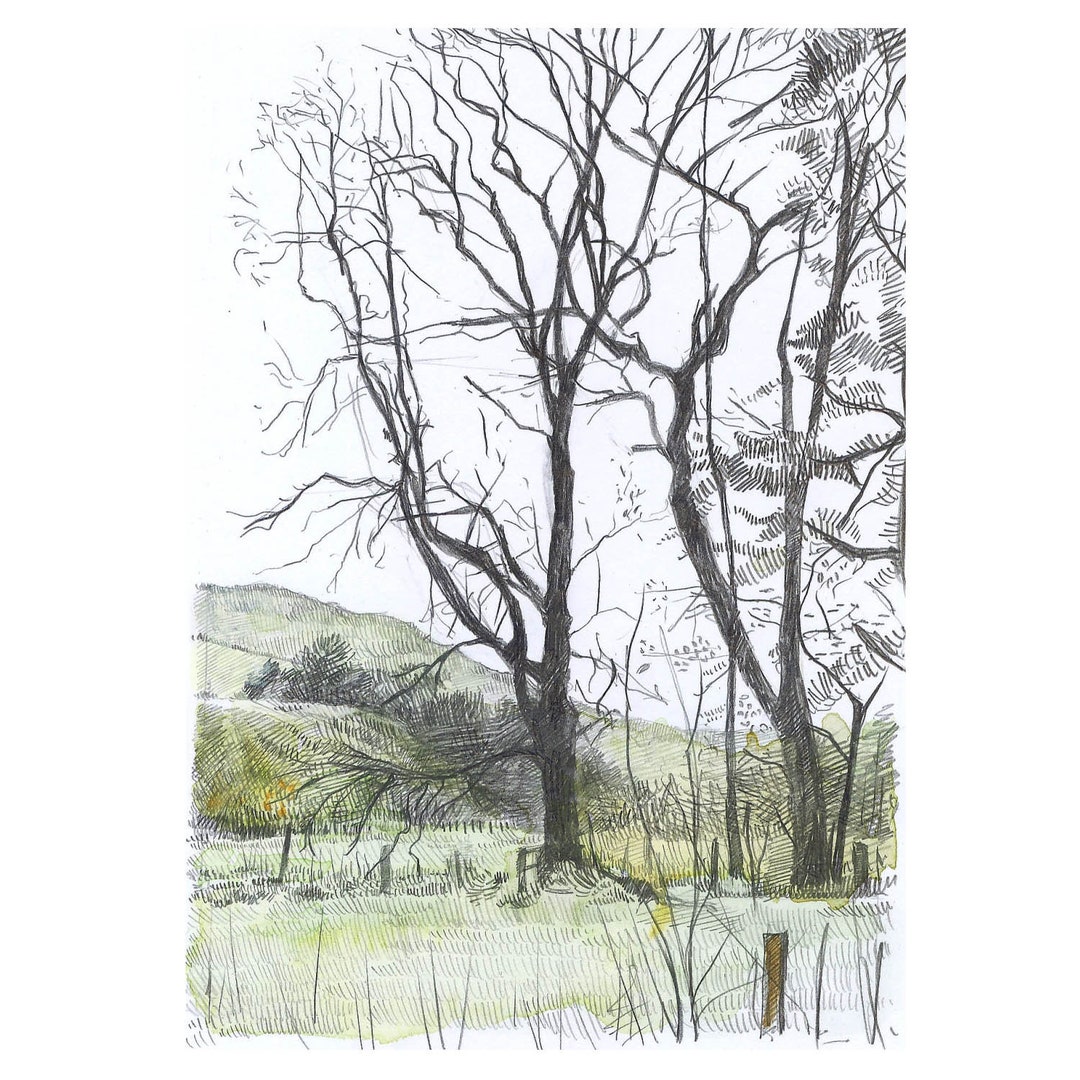 Print - Green and Grey Trees - Pencil and Watercolour Landscape Drawing ...
