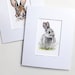 Print Charlie Bunny Adorable Rabbit Drawing - Etsy