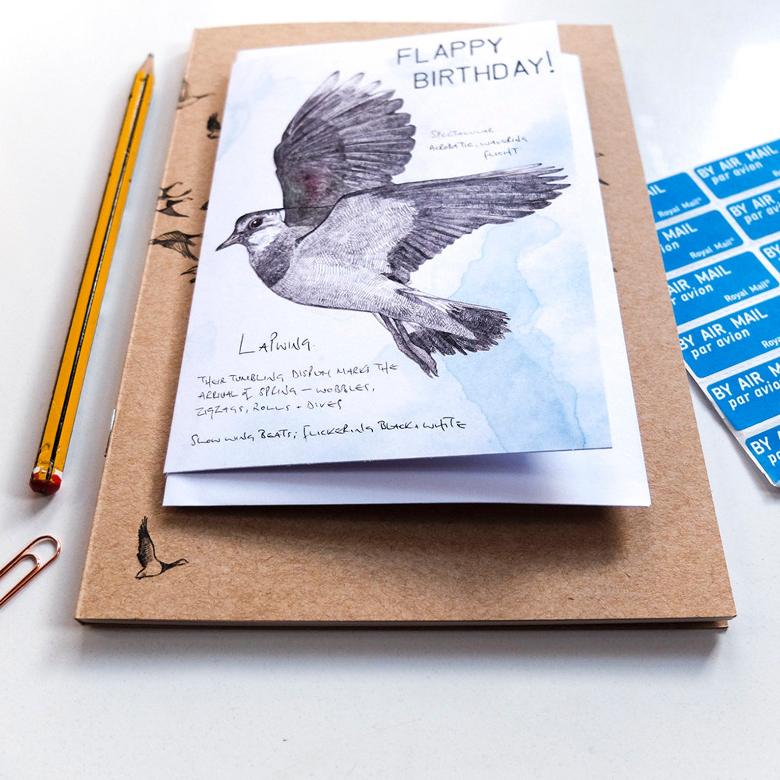 Flappy Birthday A Lapwing Birthday Card - Etsy