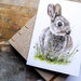 Blank Card Charlie Bunny Pencil Drawing - Etsy
