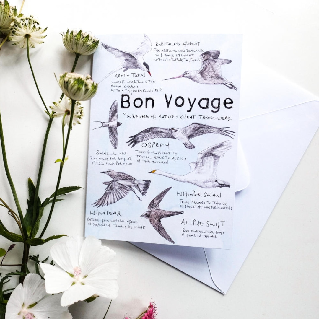 Bon Voyage, a Card for a Traveller - Etsy