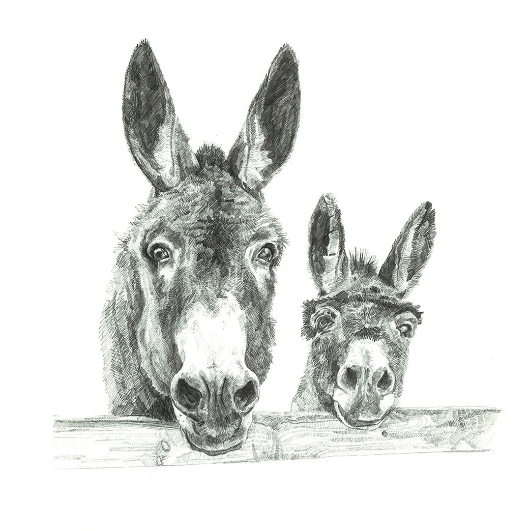 Print - Two Donkeys - Pencil Drawing - Etsy