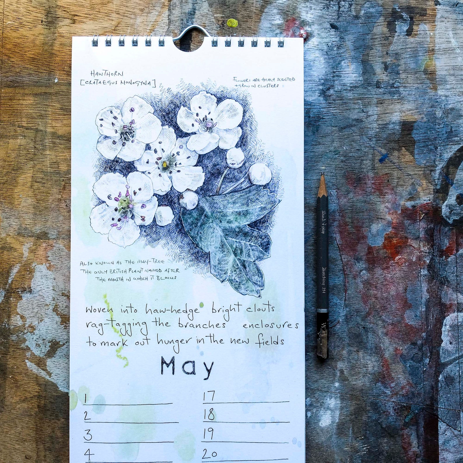 Field Notes Perpetual Calendar for Birthdays, Anniversaries and ...