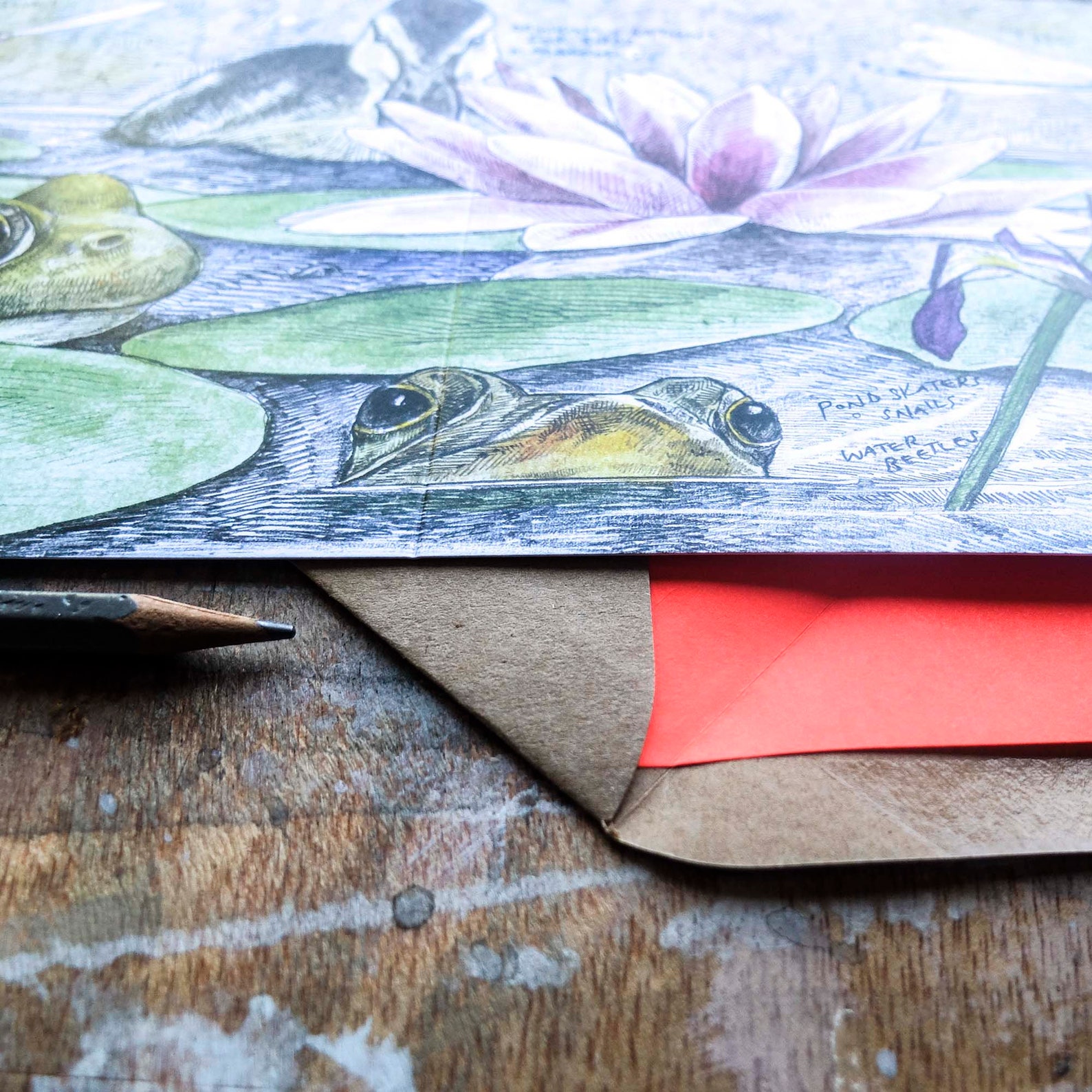 The Pond Card A Garden for Wildlife Wrap-around Card Summer - Etsy