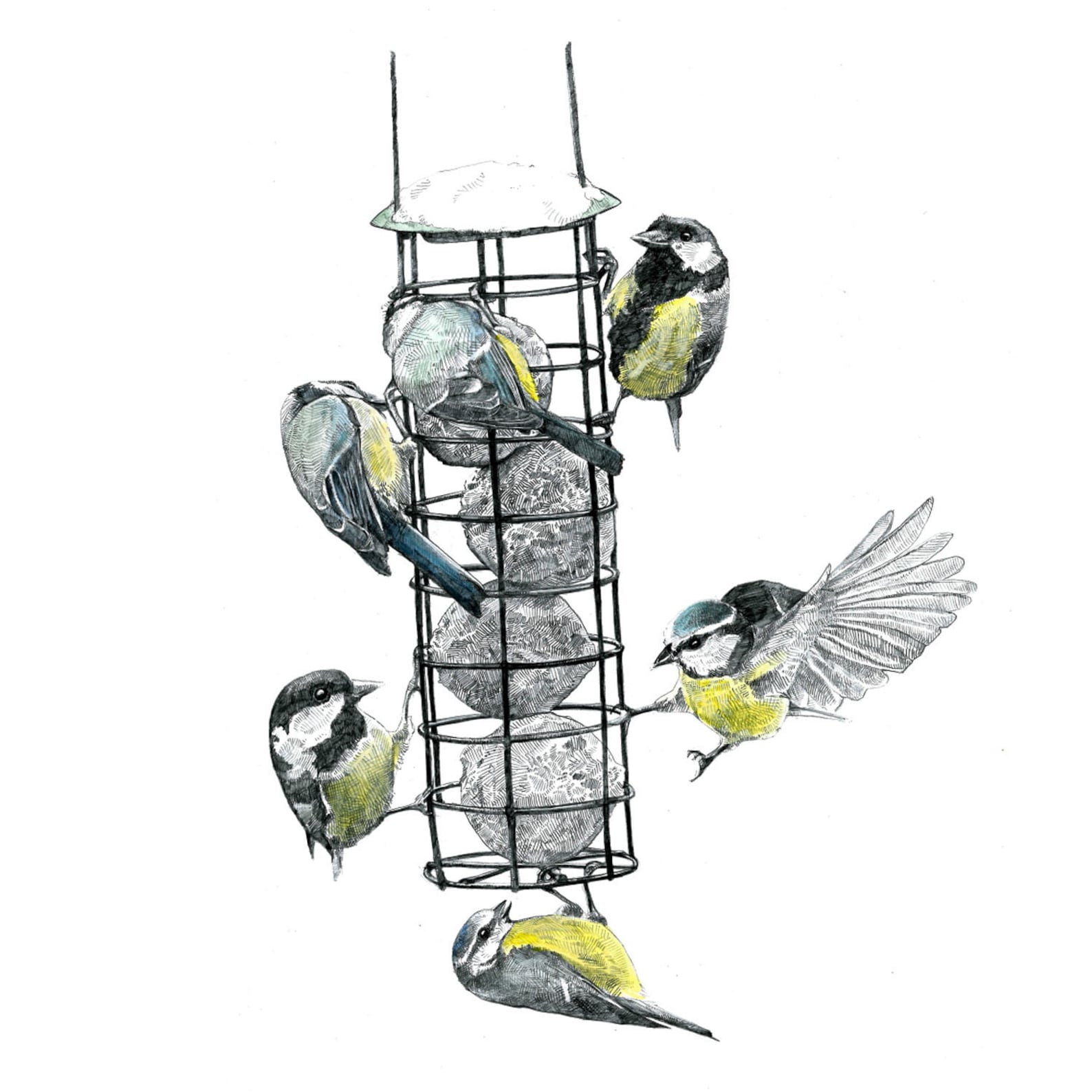 Print the Bird Feeder Pencil Drawing - Etsy