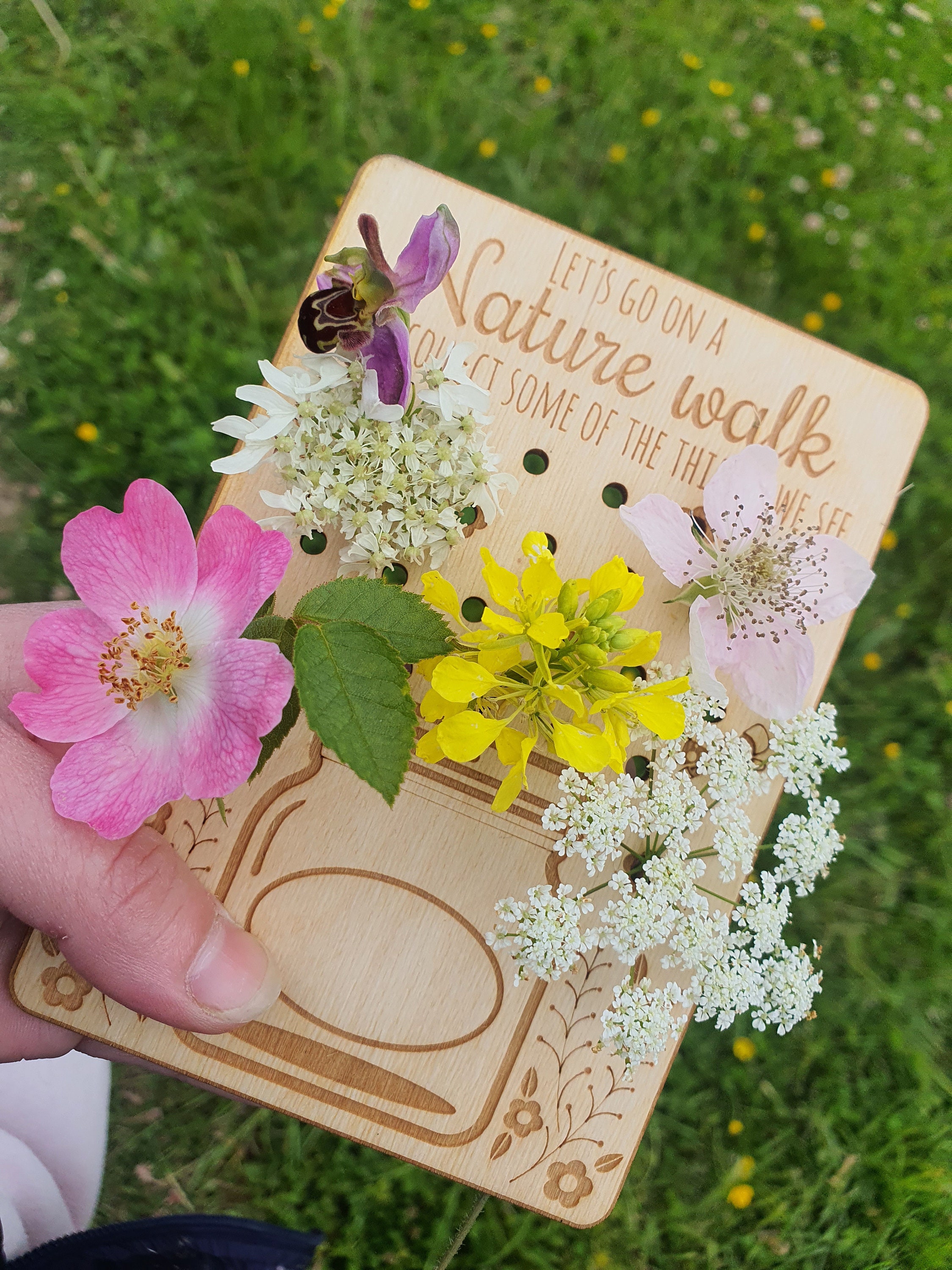 Wild Flower Craft Idea Gift for Collecting Flowers Made From Wood ...