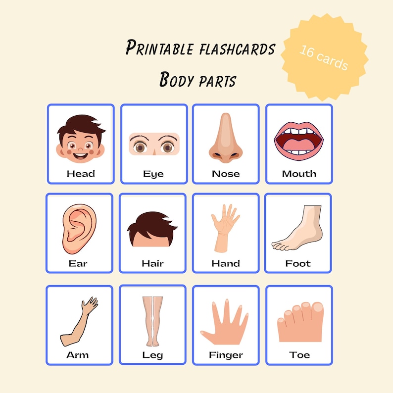 Printable Body Parts Flashcards – 16 Educational Cards for Toddlers ...