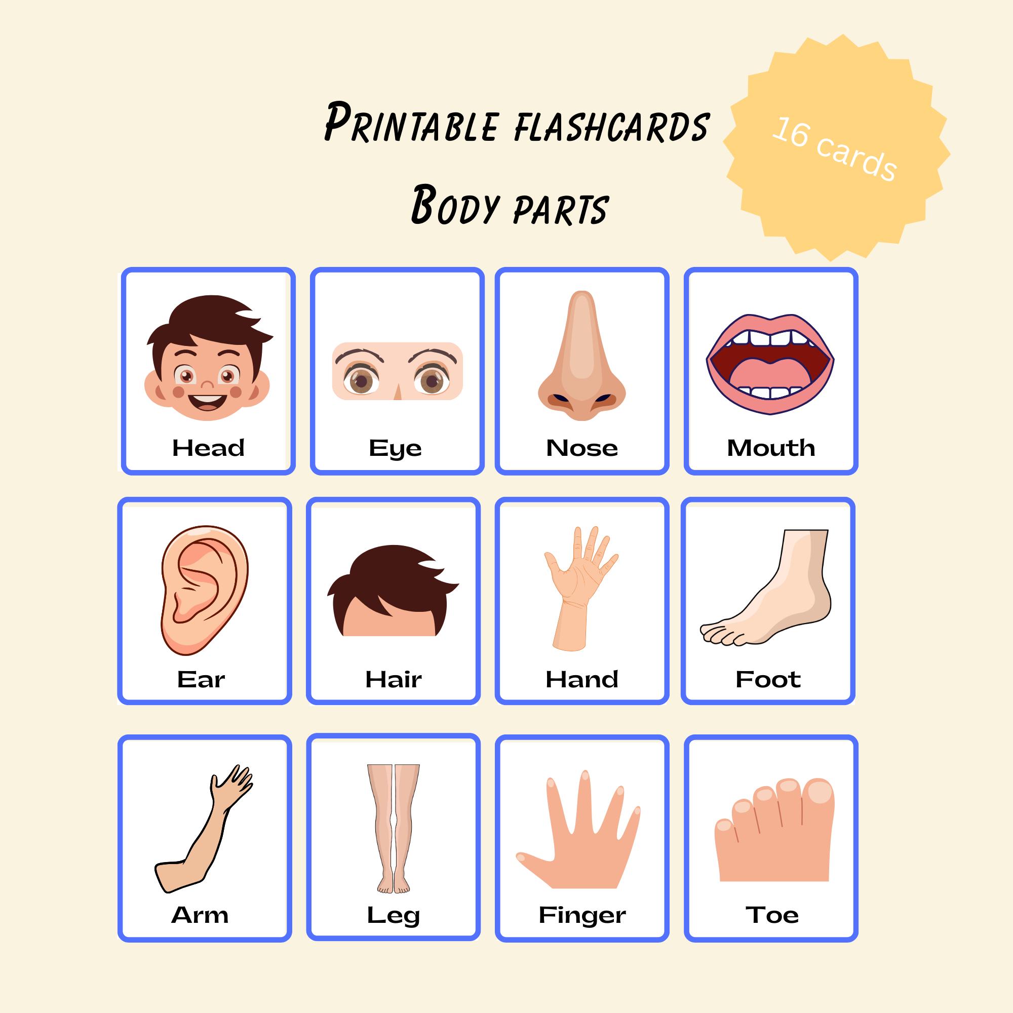 Printable Body Parts Flashcards – 16 Educational Cards for Toddlers ...