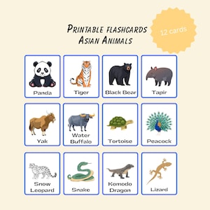 Asian Animals Flashcards for Toddlers | Printable Animal Cards ...
