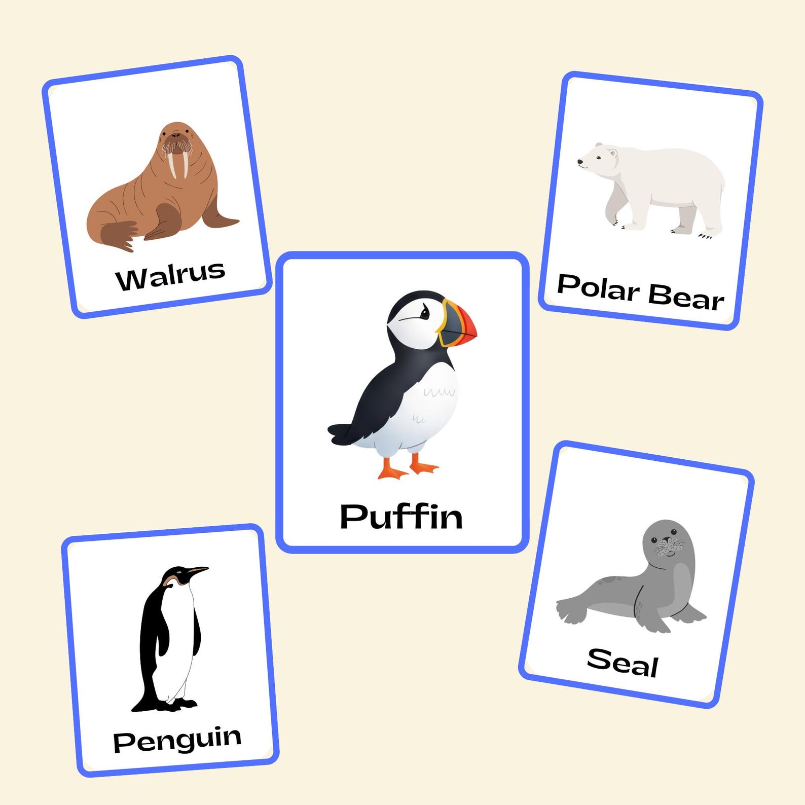 Arctic Animals Flashcards for Toddlers | Polar Animals Printable ...