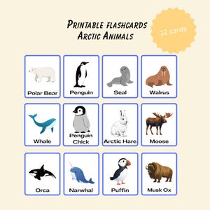 Arctic Animals Flashcards for Toddlers | Polar Animals Printable ...