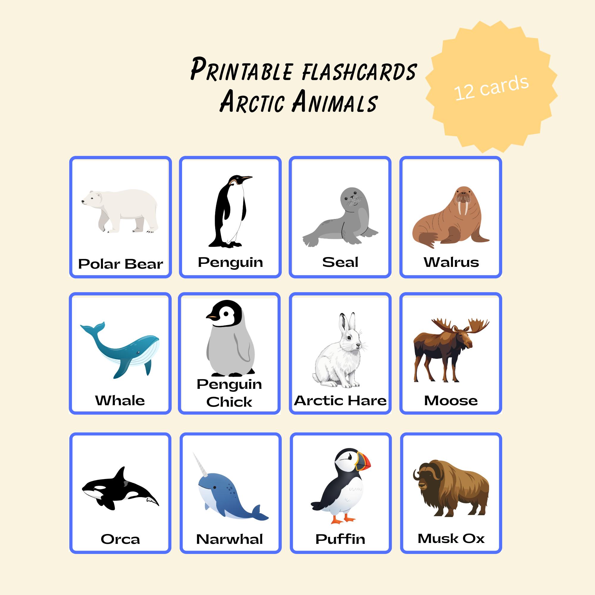 Arctic Animals Flashcards for Toddlers | Polar Animals Printable ...
