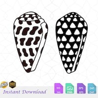 Hebrew Cone Shell SVG, Beach Shell SVG, Shell SVG, Digital Download ...