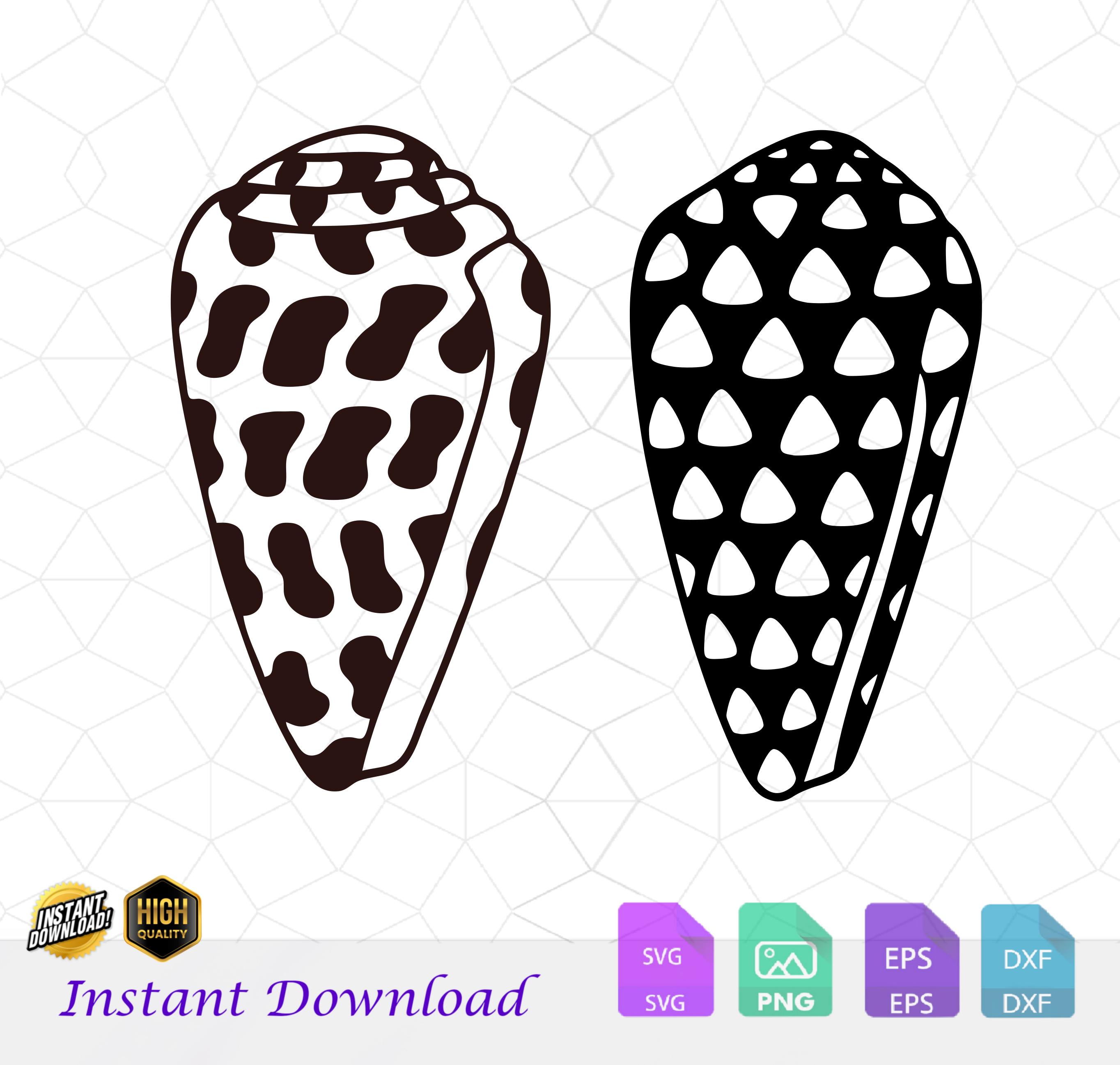 Hebrew Cone Shell SVG, Beach Shell SVG, Shell SVG, Digital Download ...