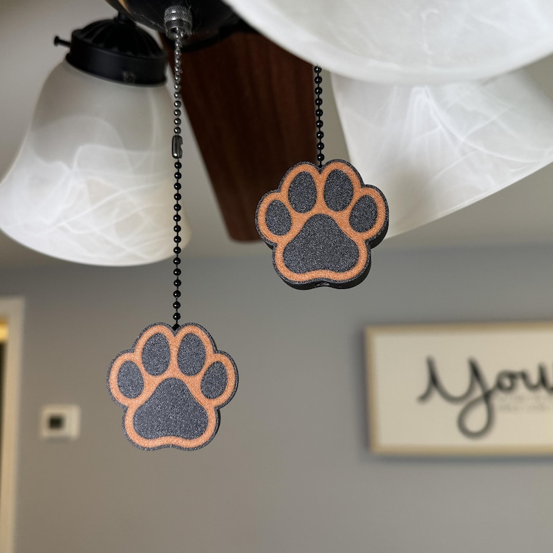 Ceiling Light for Dog Room - Etsy
