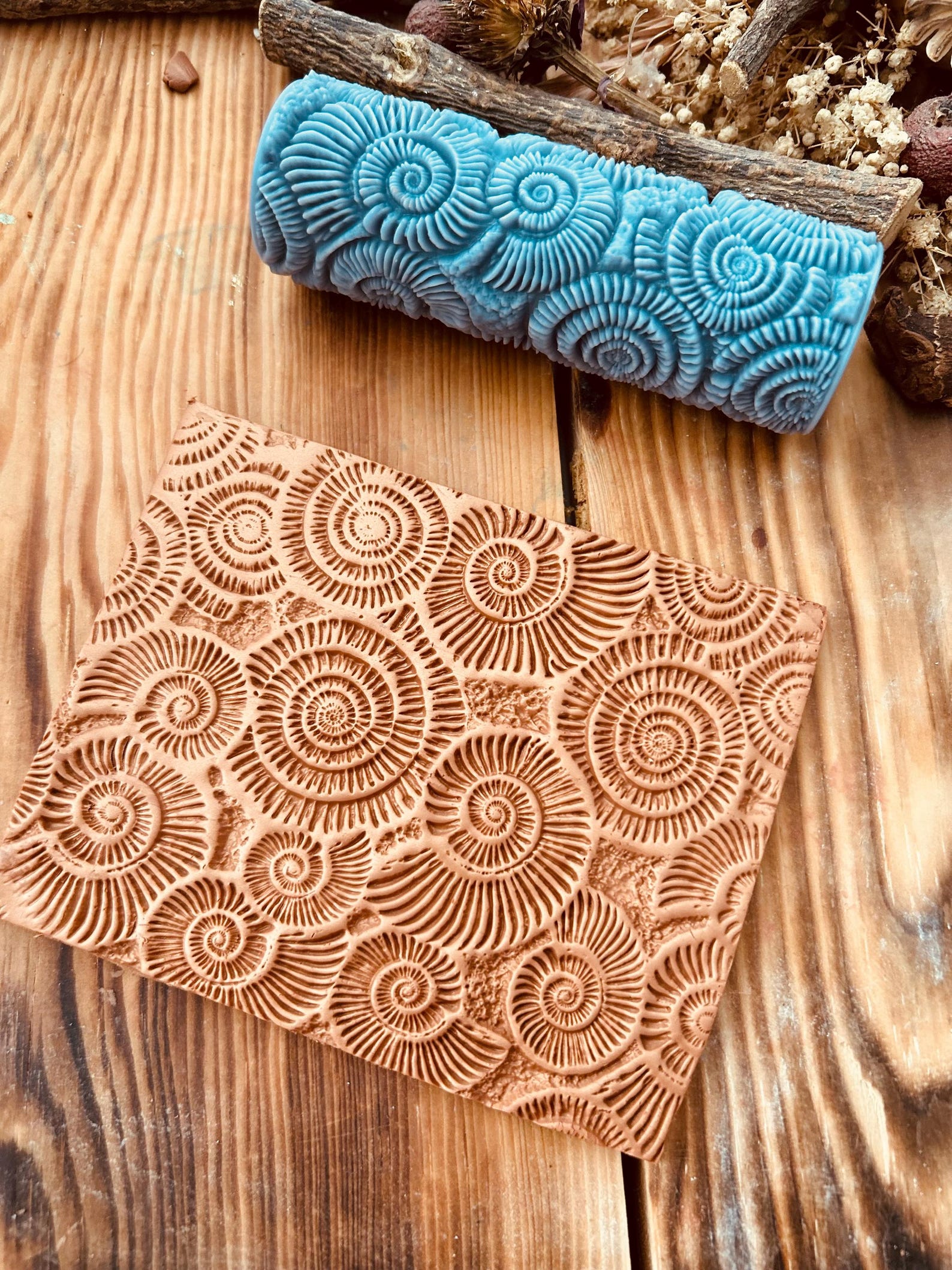 3D Ammonite Fossil Texture Roller: Polymer Clay, Soap, Cookie Dough ...