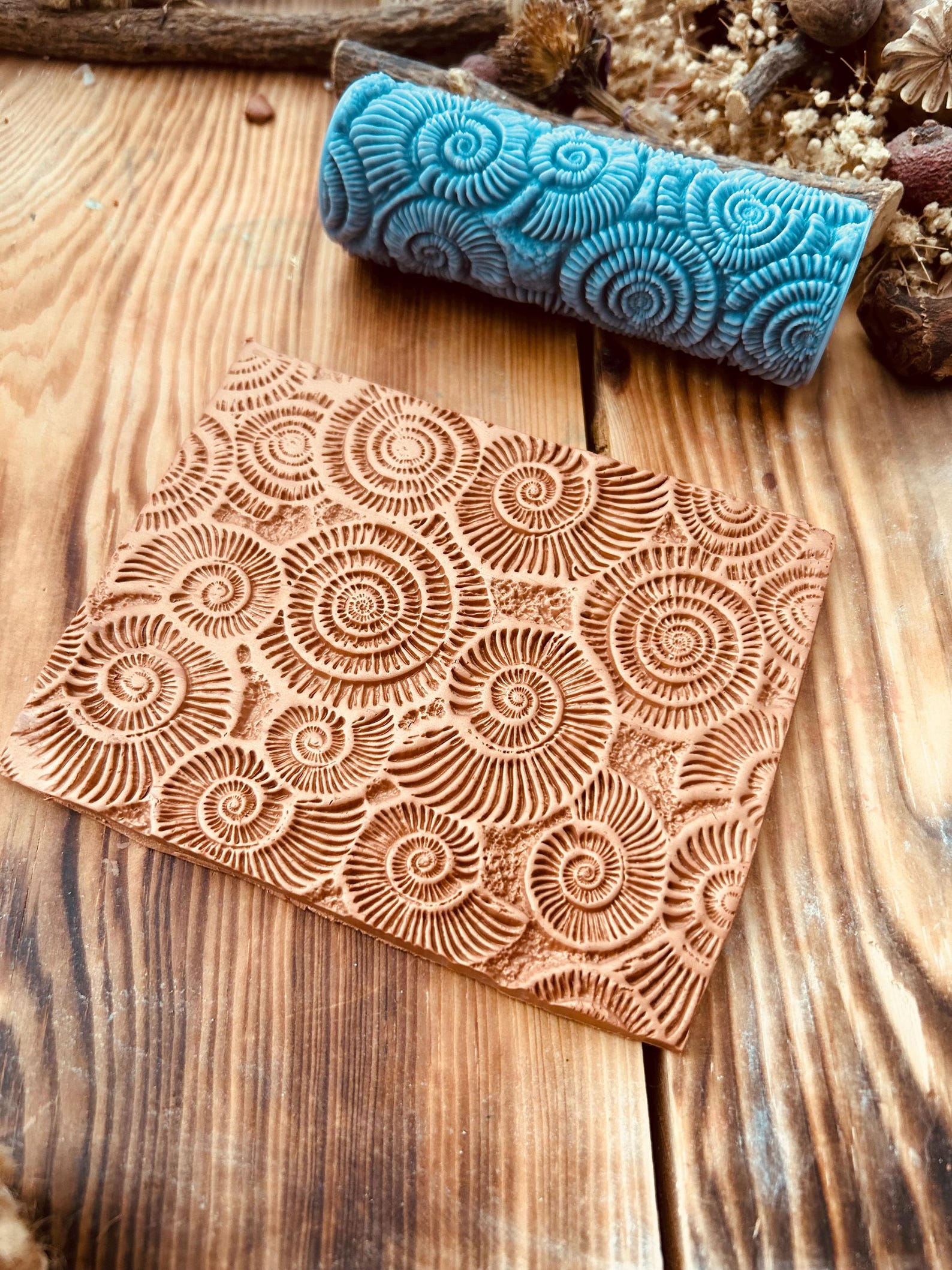 3D Ammonite Fossil Texture Roller: Polymer Clay, Soap, Cookie Dough ...