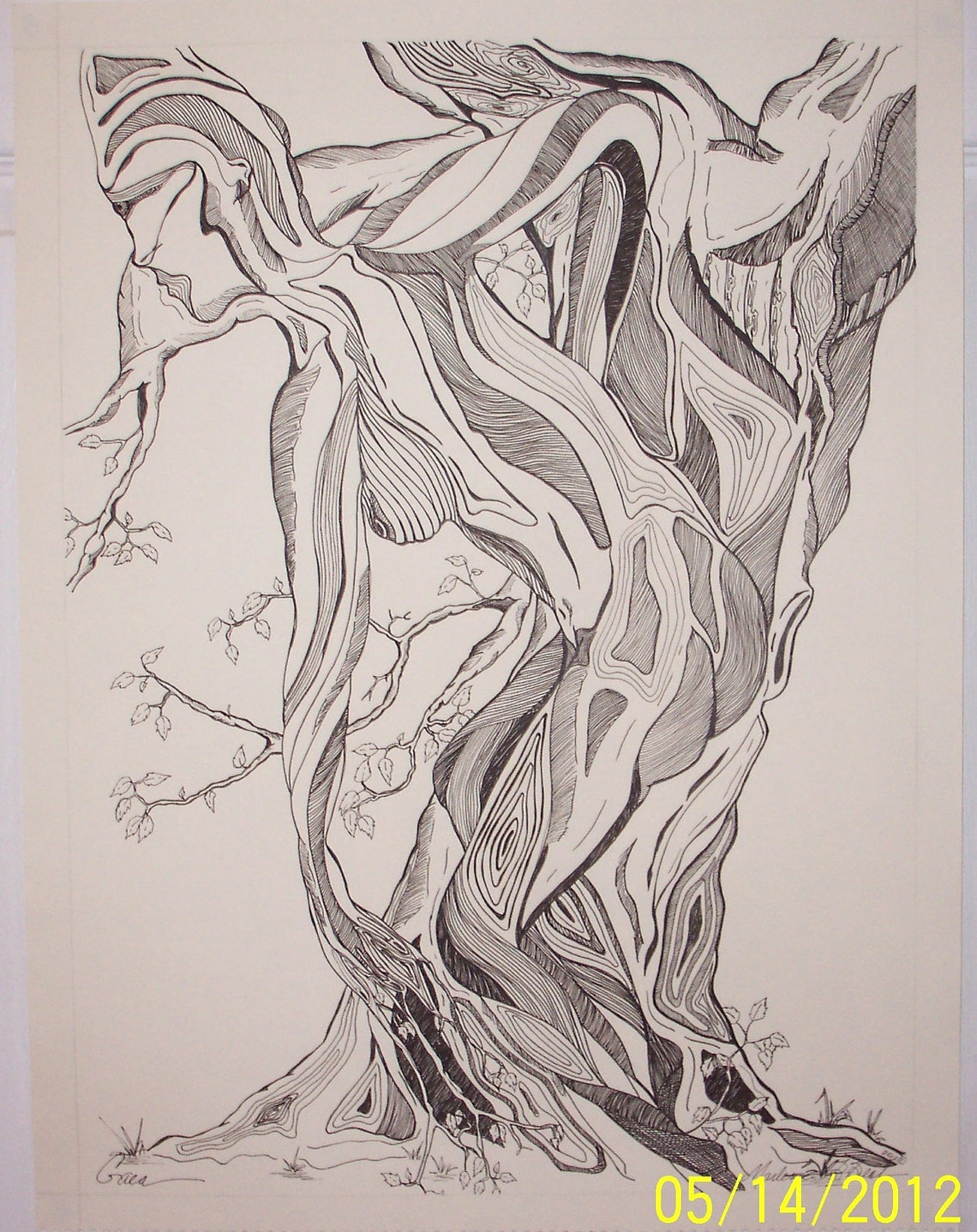 Titled "gaea" - Original Pen & Ink Drawing - Etsy