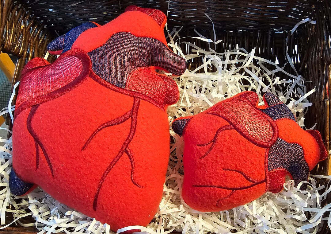 Anatomical Plush Heart - 2 Sizes! - Etsy