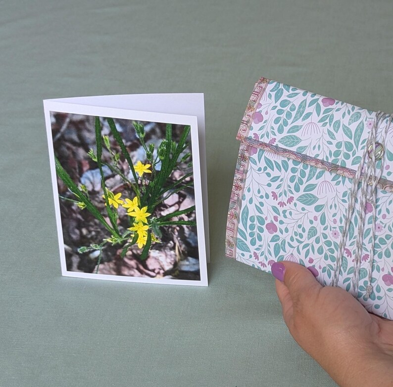 Note Cards, Photo Note Cards, Blank Cards, Unique Gifts, Teacher Gifts ...