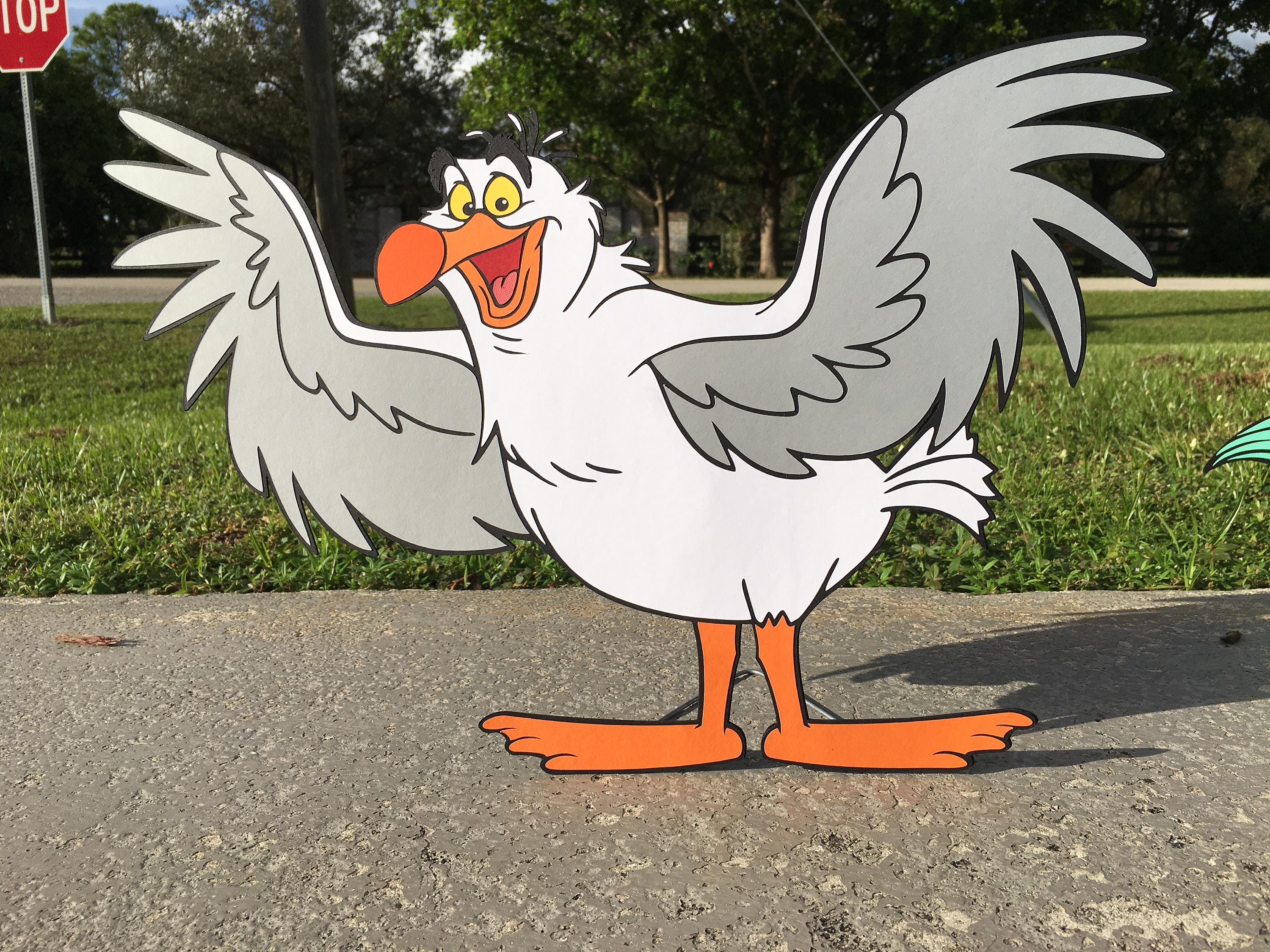 What Kind Of Bird Is Scuttle From The Little Mermaid