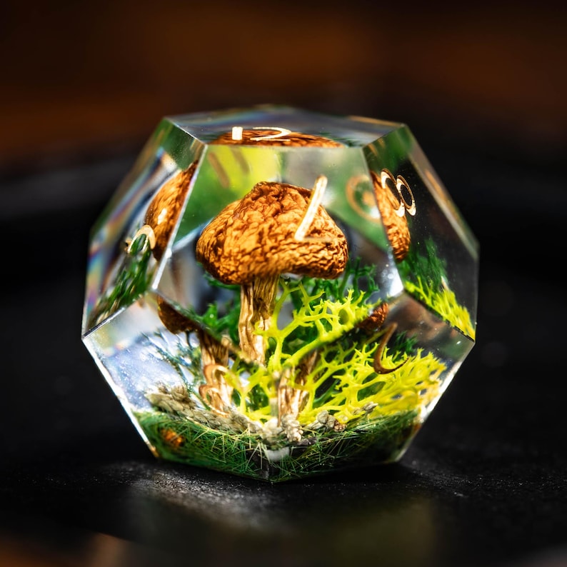 Real Brown Mushroom Resin Dice Set: Sharp Edge Polyhedral DND Dice ...