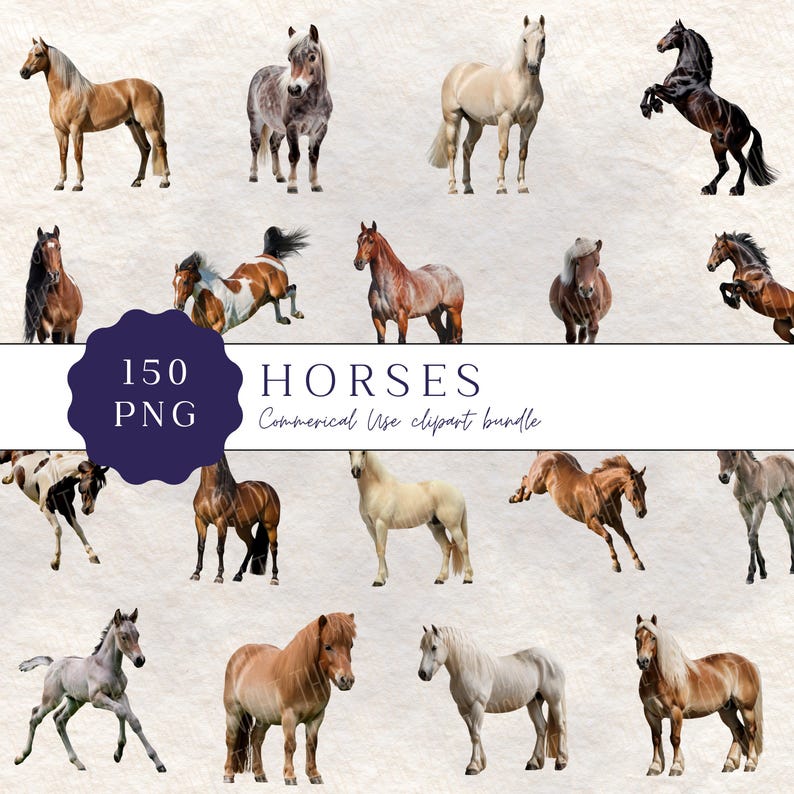 Horse Clipart Bundle | Horse Bundle PNG | Equestrian Clipart | Pony ...