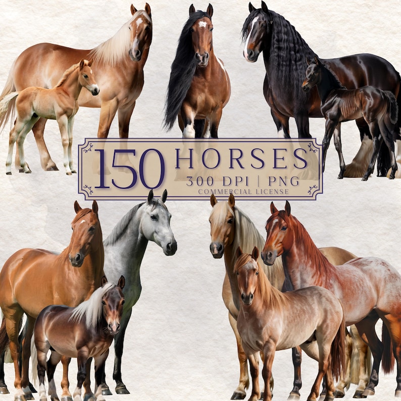 Horse Clipart Bundle | Horse Bundle PNG | Equestrian Clipart | Pony ...