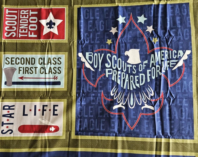 Modern Scouting Scout Panel P6205 Riley Blake Designs - 36" X 43 ...