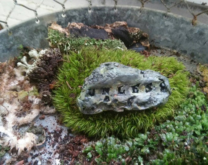 Unless the Lorax Terrarium Stone/dr. Seuss - Etsy