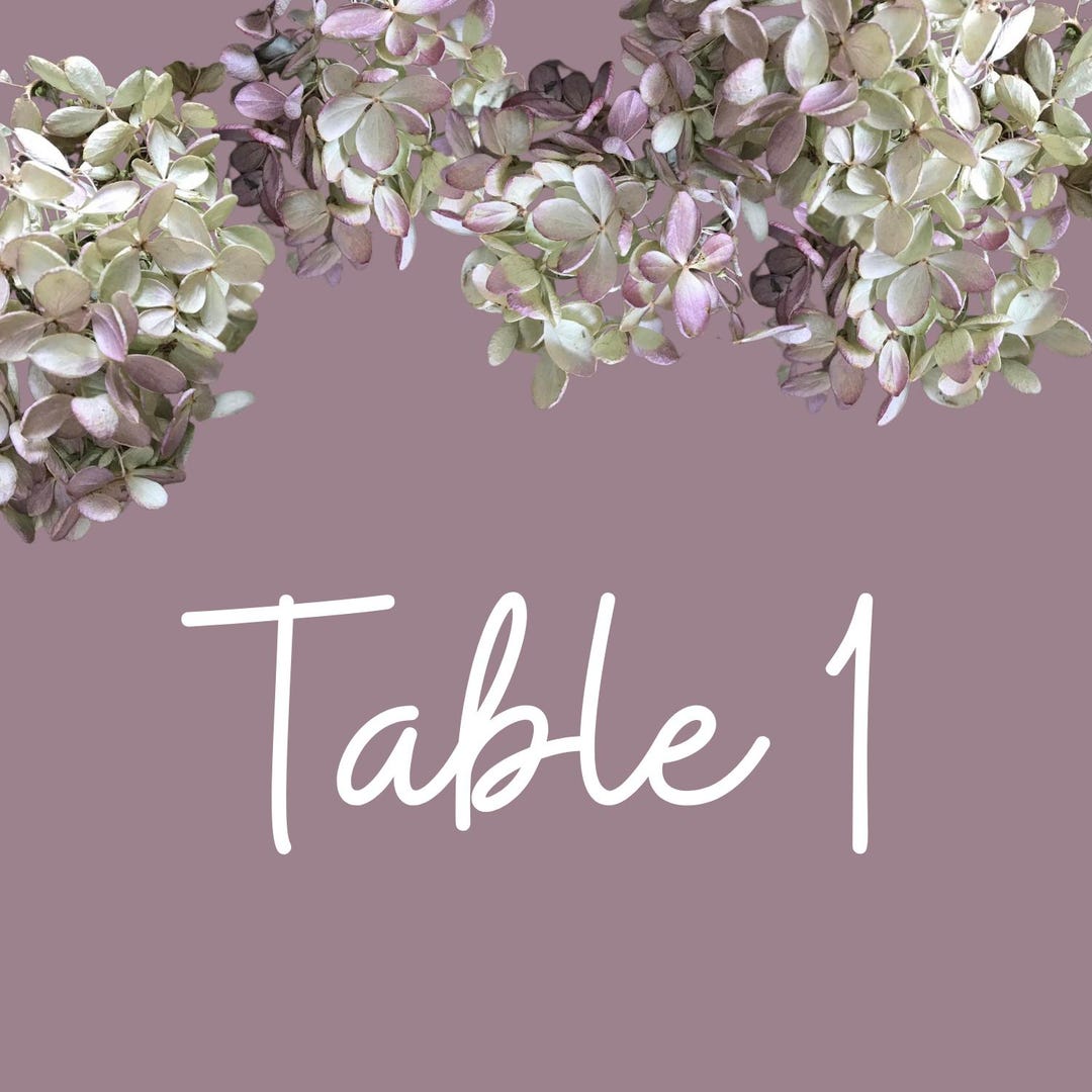 Table Number Template in Canva Mauve Hydrangea - Etsy