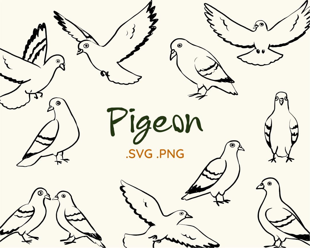 Taube SVG Bundle - Stadt Vogel Clipart, Urban Dove Line Art für ...