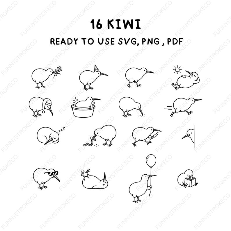 Kiwi Bird SVG Bundle | New Zealand Animal Clipart | Funny Bird Vector ...