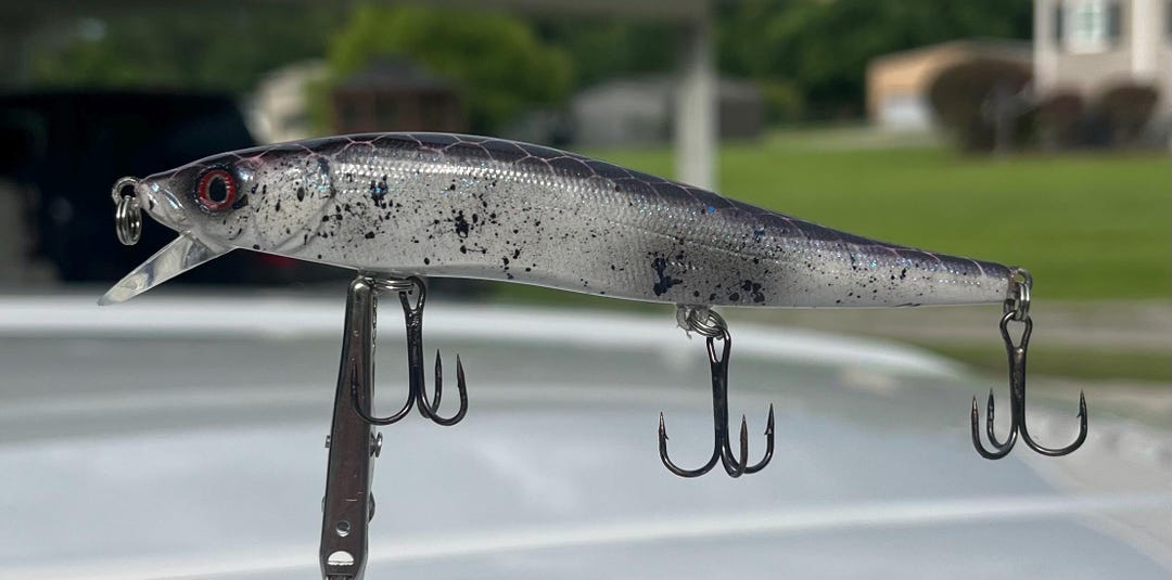 Custom Painted Fishing Lure- Jerkbait - Etsy