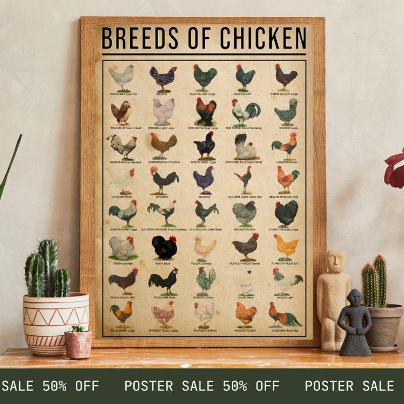 Chicken Breeds Poster - Etsy