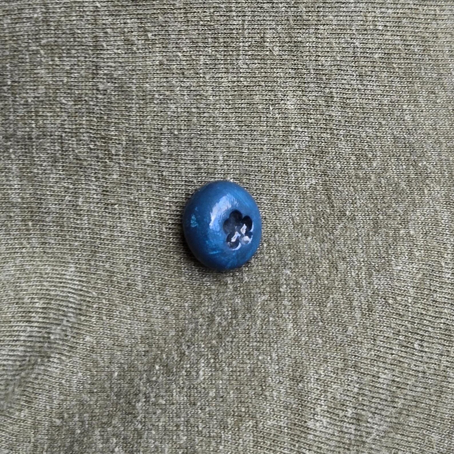Realistic Blueberry Pin/hair Clip/brooch - Etsy