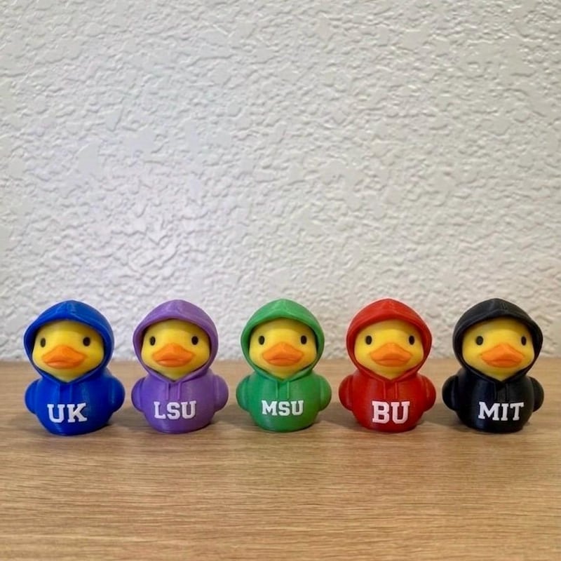 Rubber Duck 2026 - Etsy