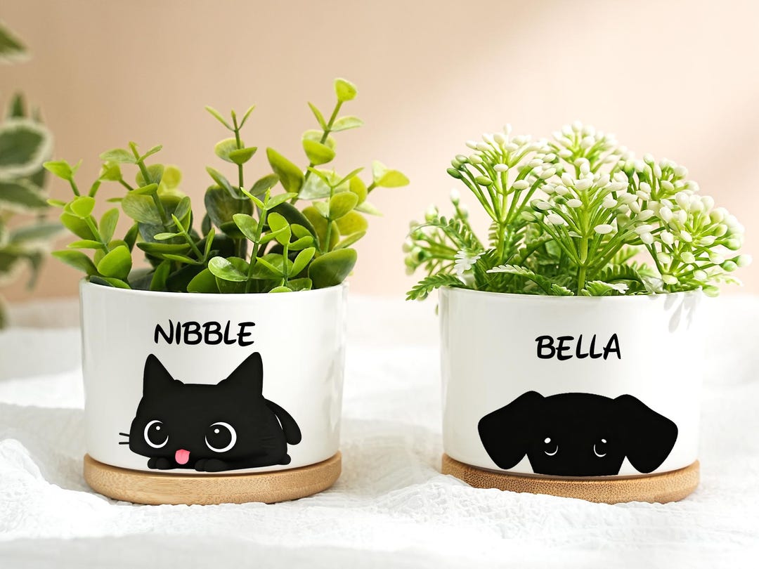 Custom Pet Planter Pot,cute Cat Planter Pot,animal Lover Plant Pot ...