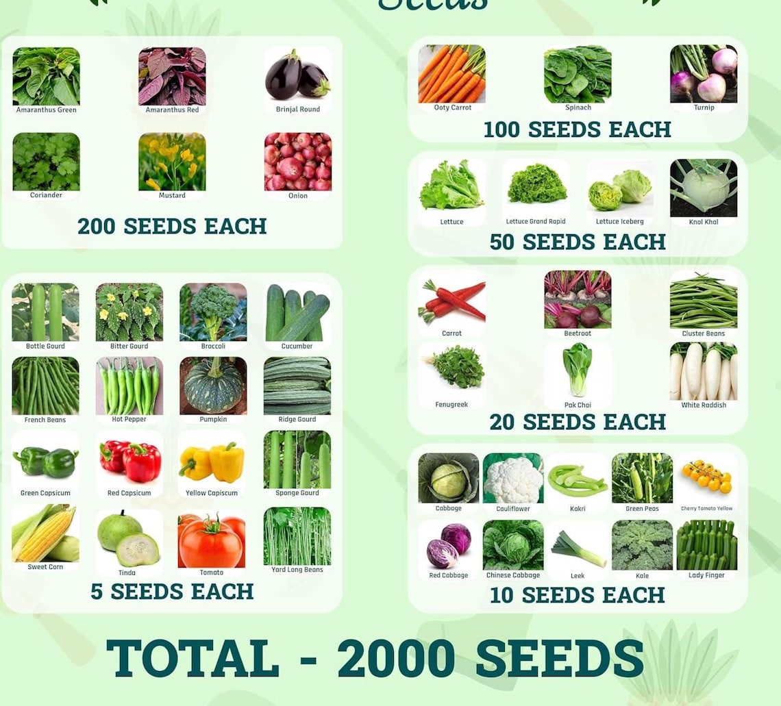 45 Varieties of Vegetable Seeds for Home Garden, Organic & Hybrid ...
